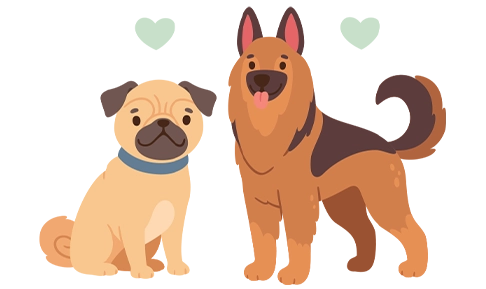 Crossroads Resort Kennels - A Home Away From Home for Your Furry Companion